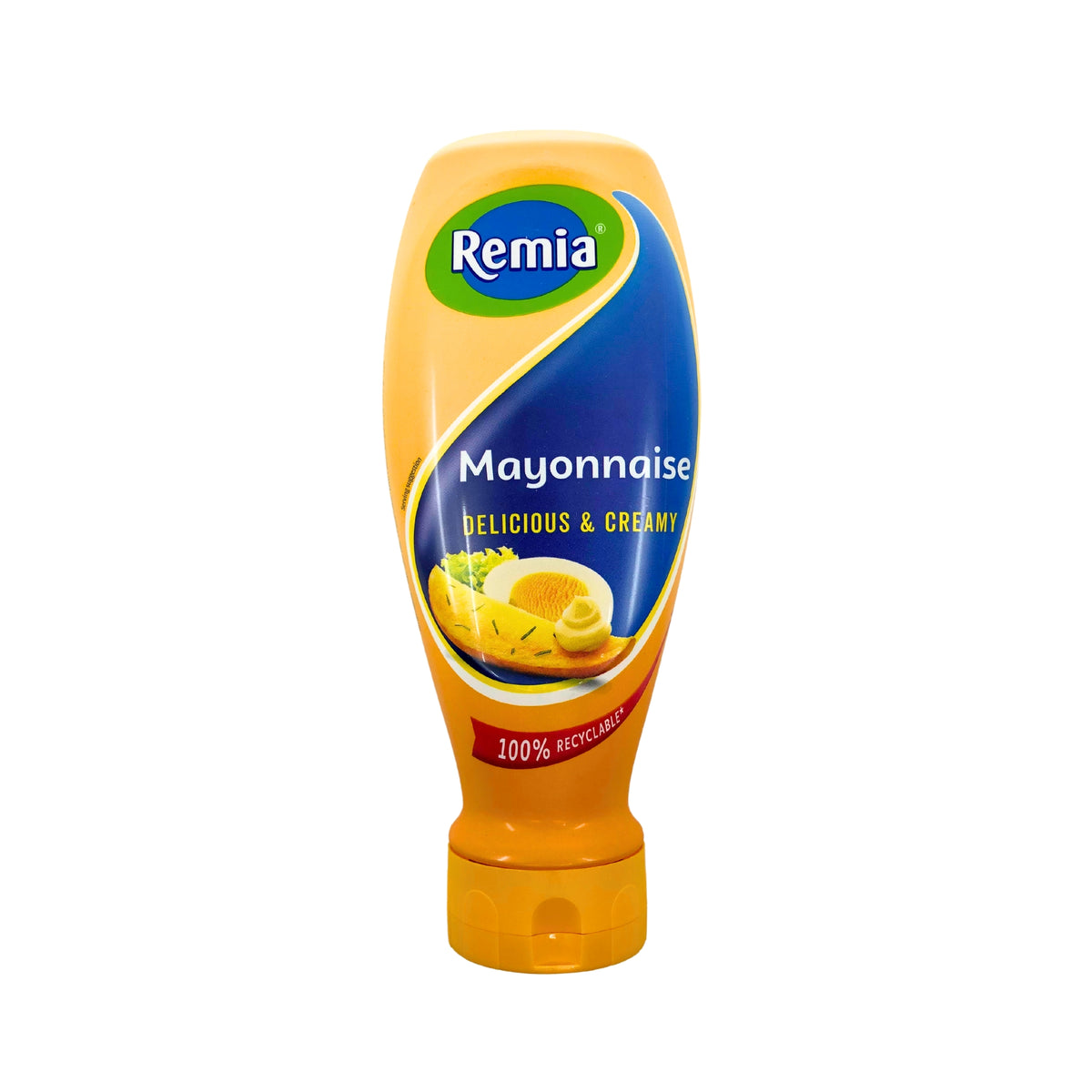 Remia Mayonnaise in squeeze bottle 16.9 oz – Peters Gourmet Market